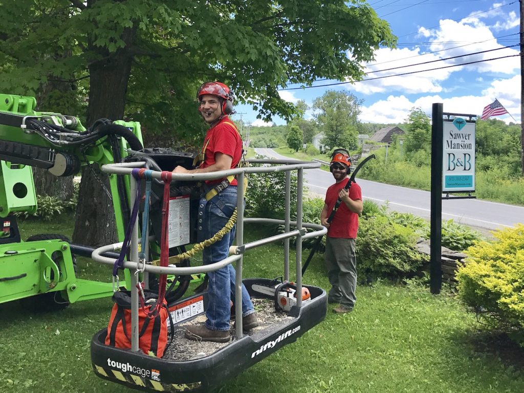 Black Diamond Tree Service: Meet the Team - Black Diamond Tree Service