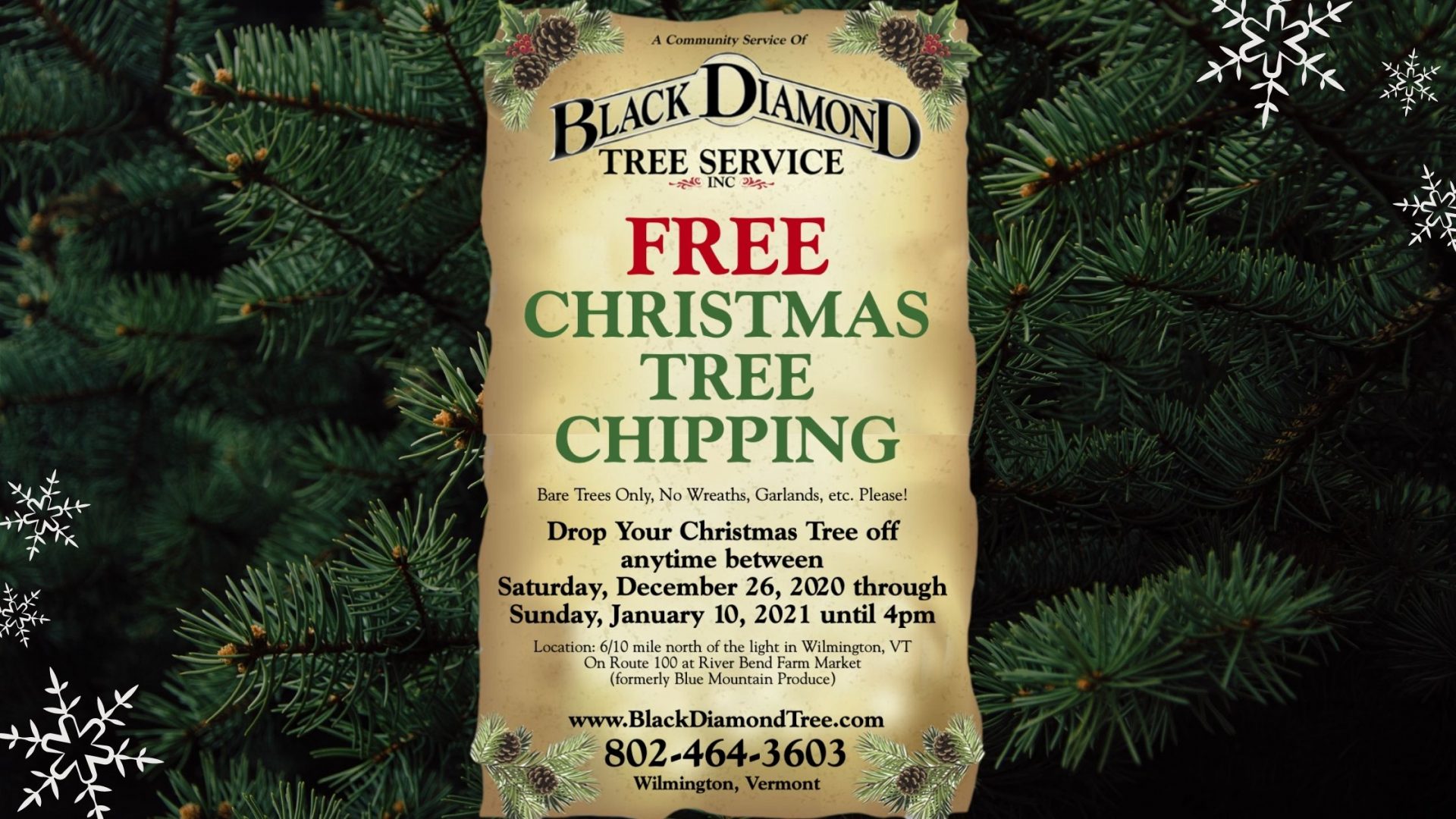 News - Black Diamond Tree Service